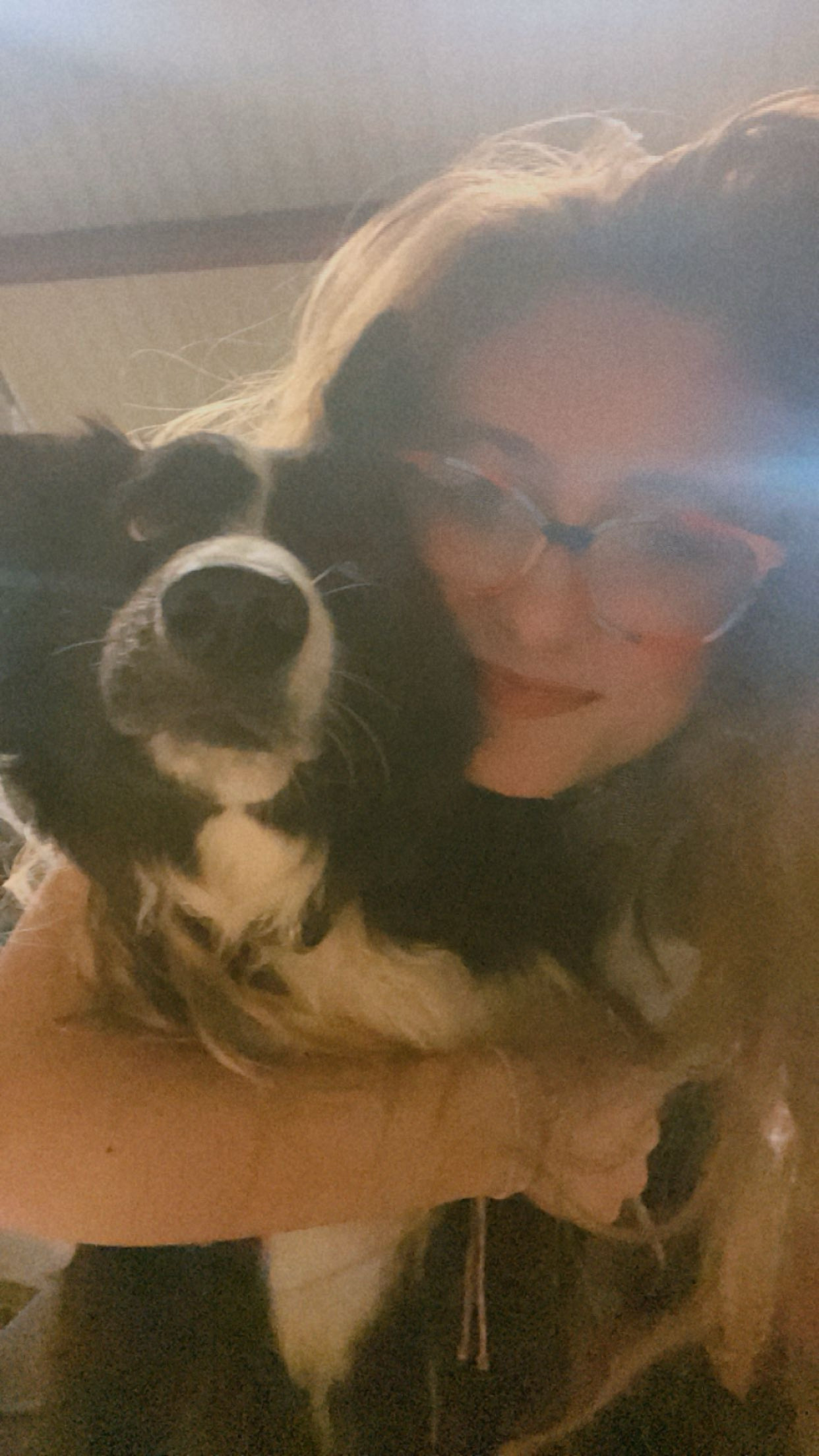 Echo Animal Services